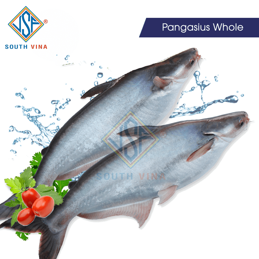 Frozen Pangasius Whole - South Vina